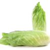 Types of Chicory | Radicchio, Sugarloaf, Rosalba, Escarole