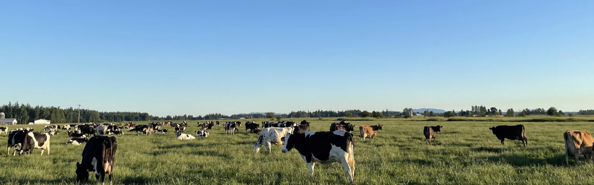 2026 Farm Fund Flood Response Grant - Community Food Co-op